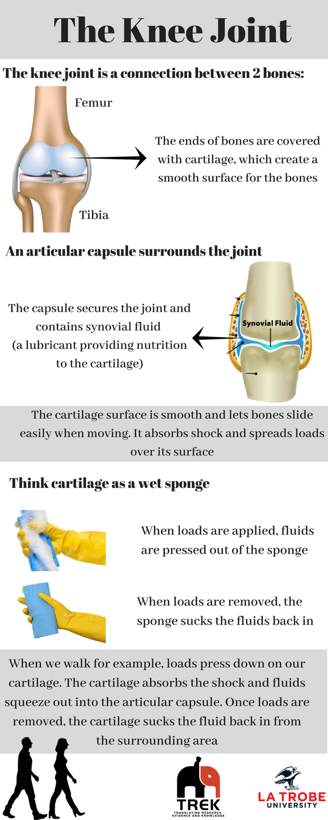 Knee health infographics - GLA:D AU