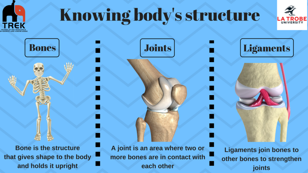 Knee health infographics - GLA:D AU